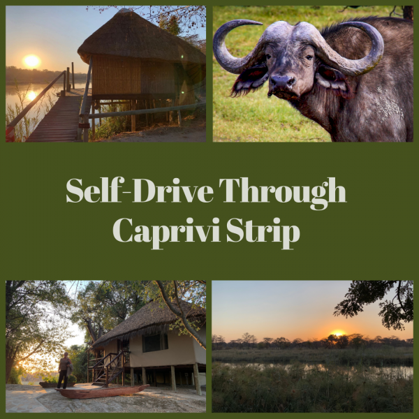 Self-Drive the Caprivi Strip – Henny Loves Africa Travel Blog